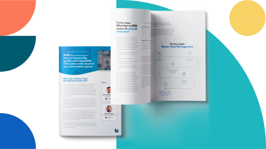 MDM (Master Data Management) white paper: the Guide!